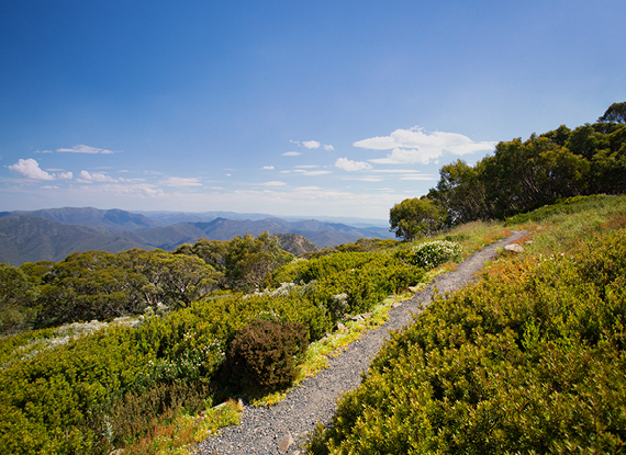 North East Law Association Conference 2022 | Law Institute of Victoria