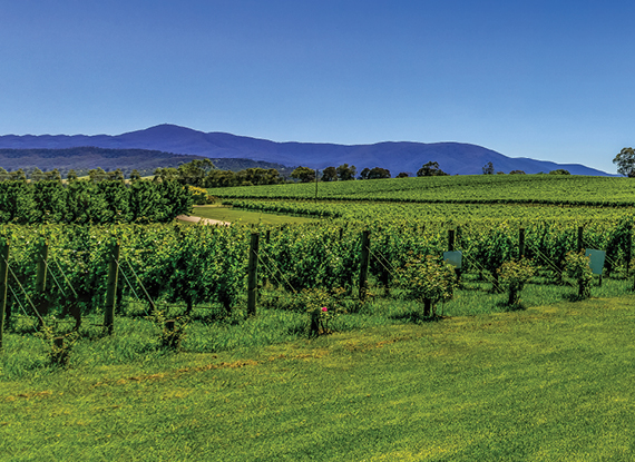 Display event - Proactive Practice Shepparton